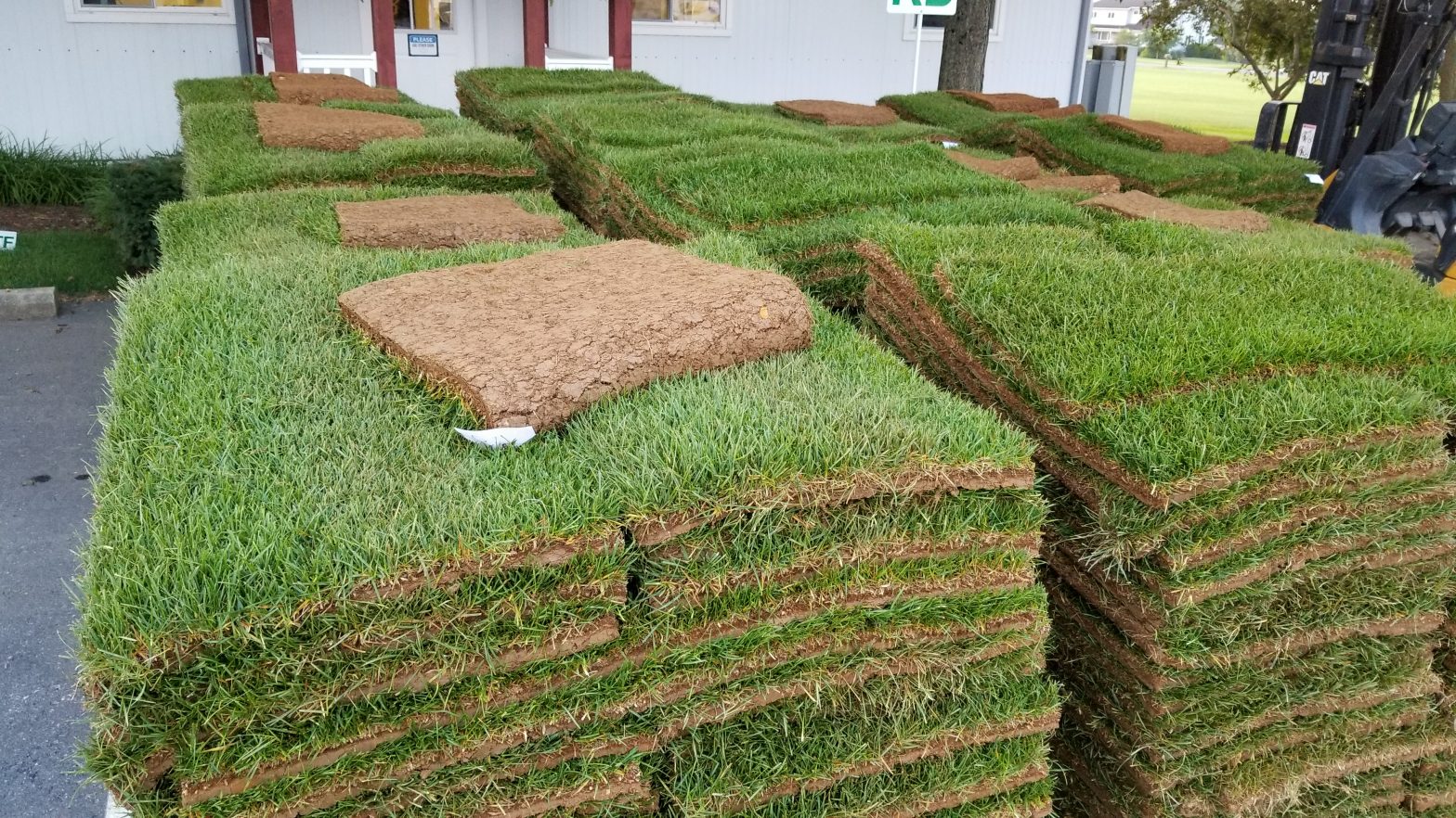 Kentucky Bluegrass Sod | Sporting Valley Turf Farms